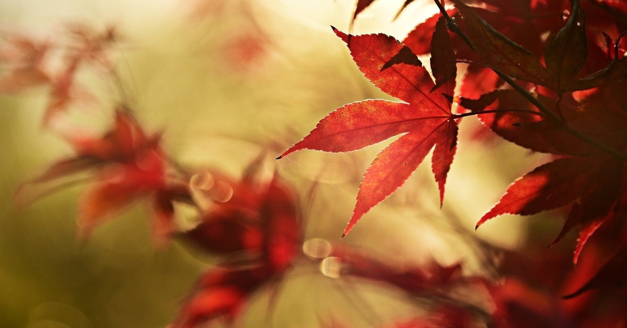 オールド・ラブストーリー｜julie｜note