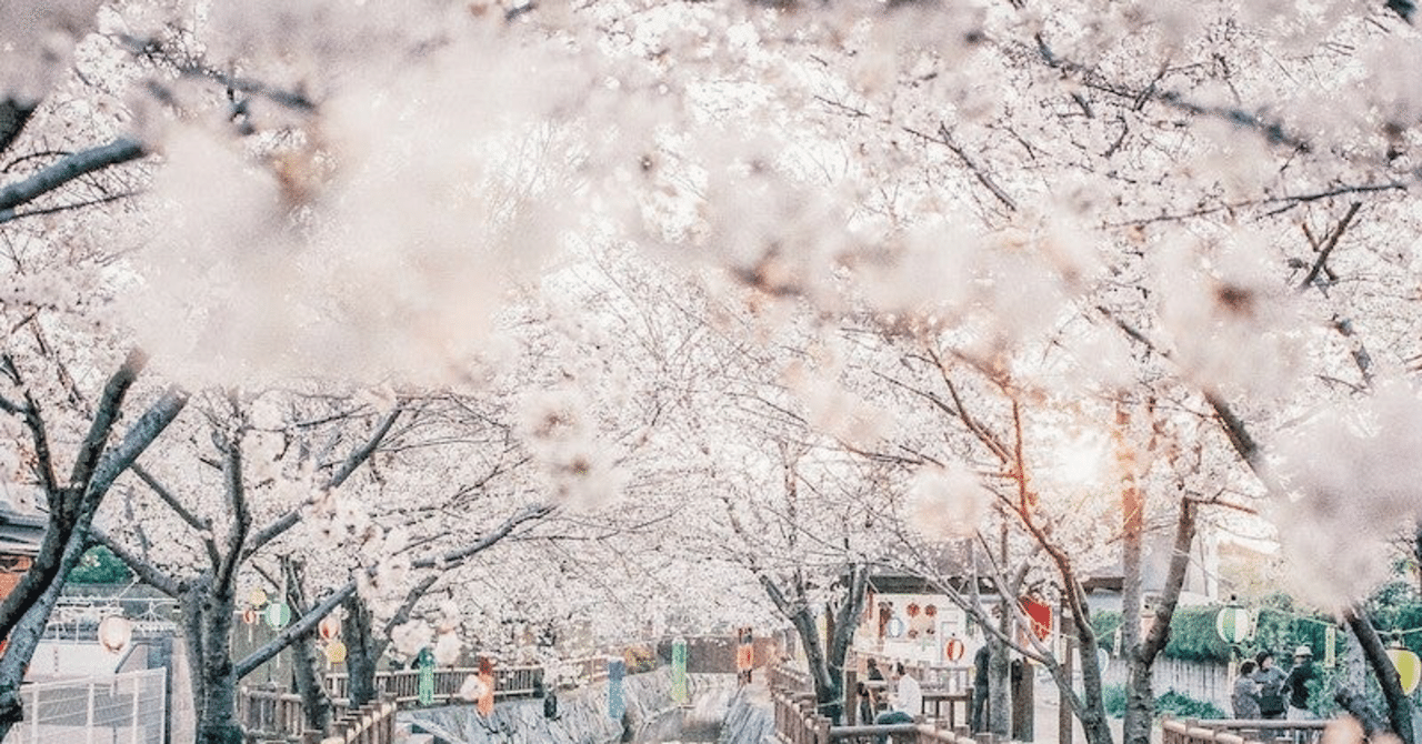 「今」この瞬間を、ちゃんと楽しむ｜rika｜note