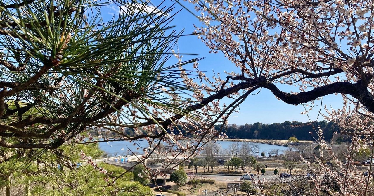 気づけば1ヶ月に2回も茨城県に行っていたので、観光スポットを紹介する｜RAq