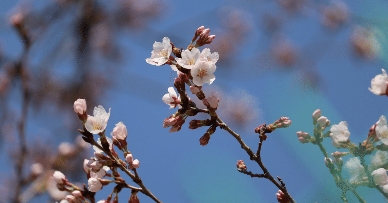 卒業ソング｜junko｜note