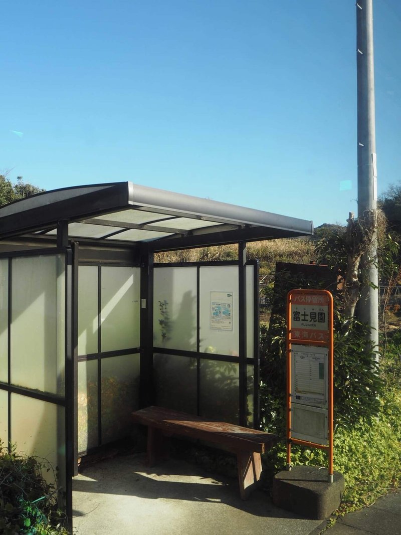 春の伊豆ぶらり旅🐠 2023年｜TAFFY｜note