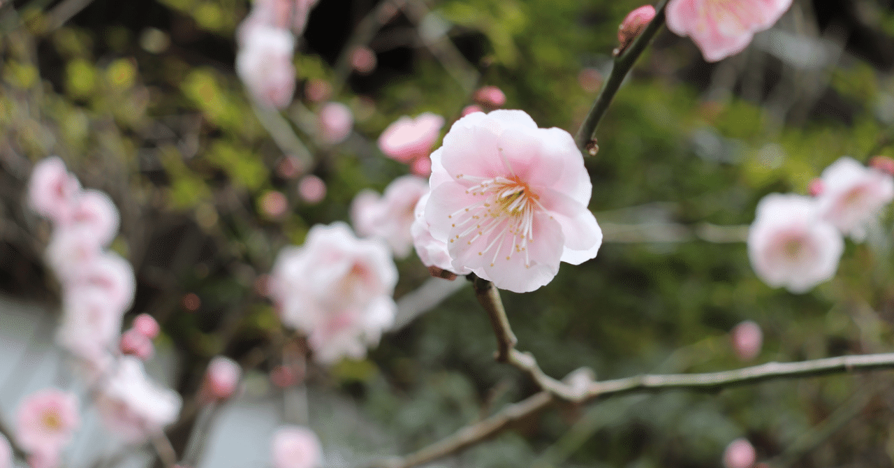 あなたが知らないであろう15個の強力なJavaScriptのテクニック｜blue06_2022｜note