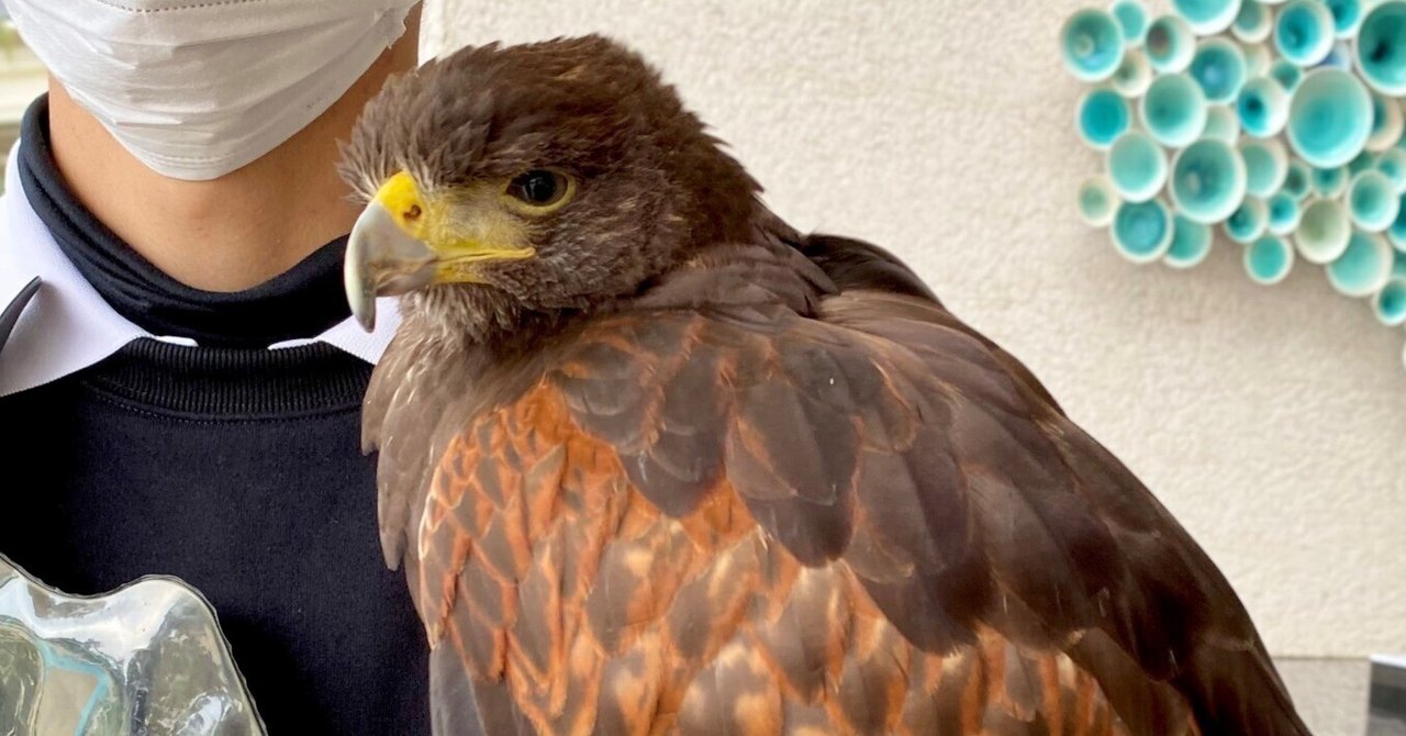 今日の1枚（2023/3/4）｜Chikako｜note