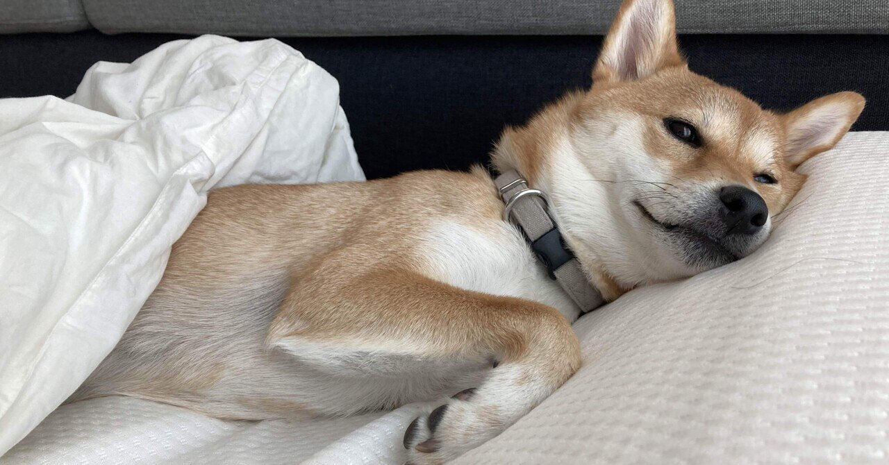 3月4日(土)/生後16日目｜723nk