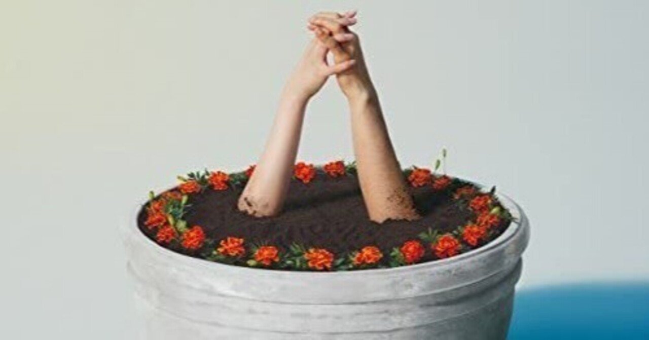 マリーゴールド / あいみょん （2018）｜oka｜note