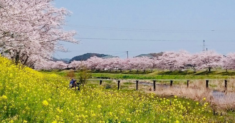 春の調べ｜Hideki_Matsuo｜note