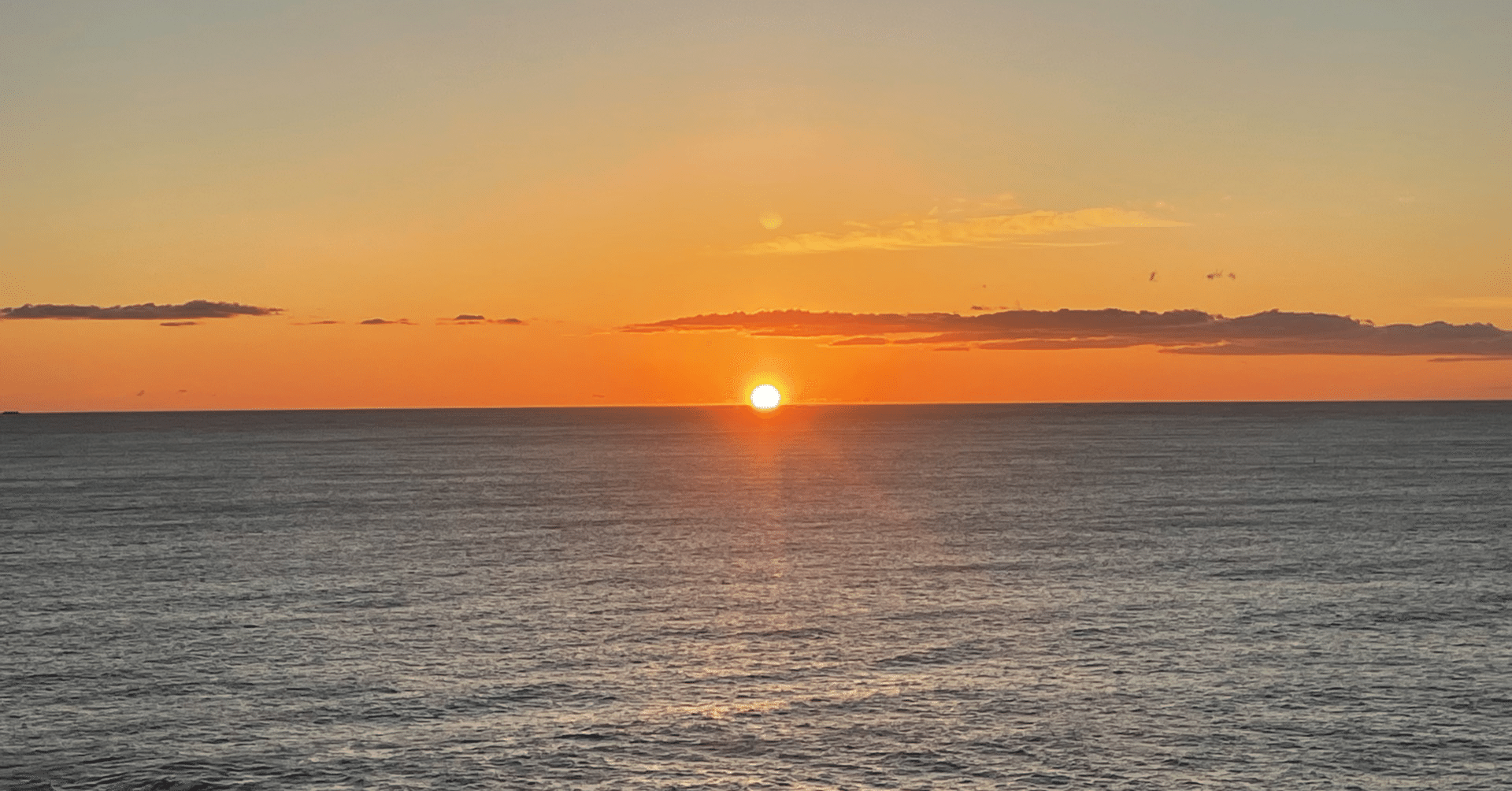 ゆかこDX☆*°｜note