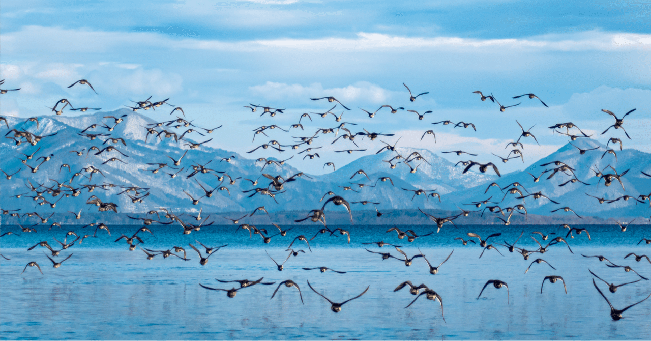 旅note 猪苗代｜shinmr｜note