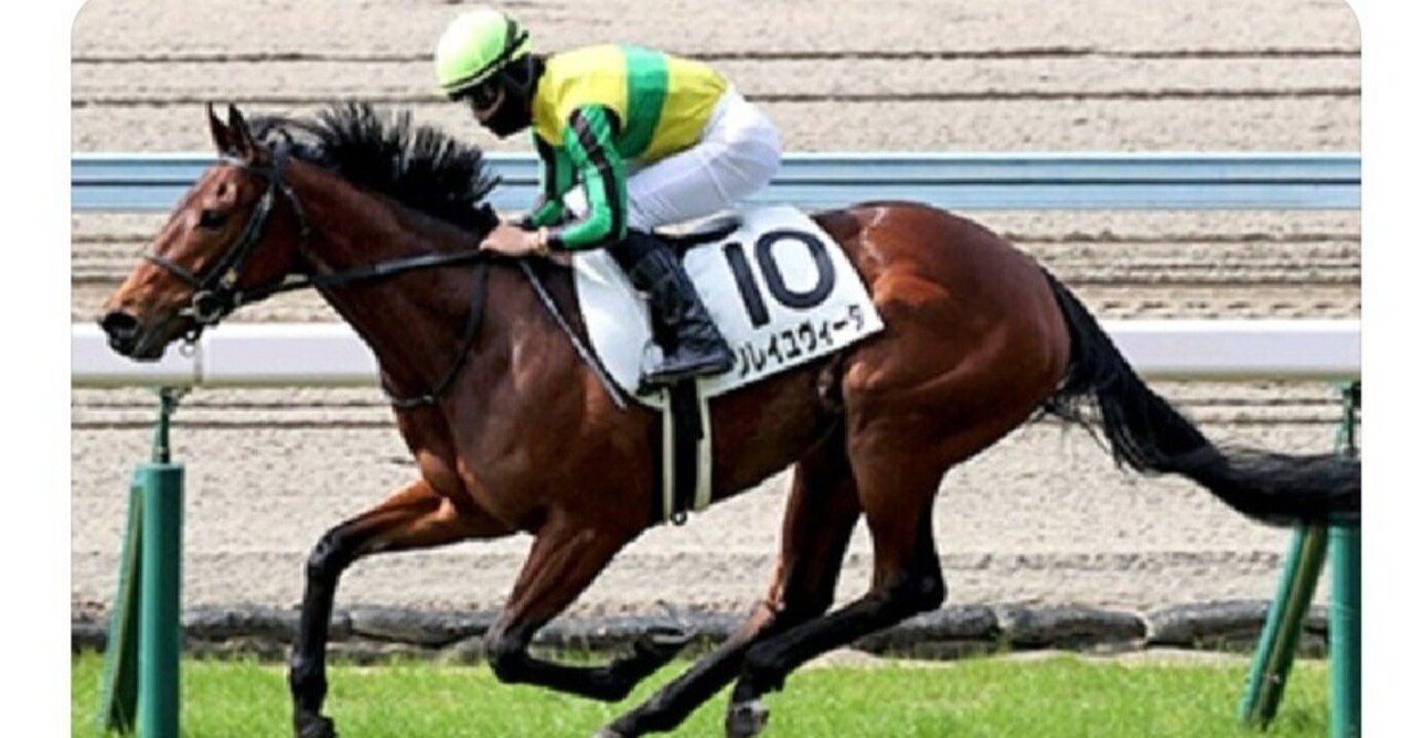 若駒コラム【サイン考察】｜愛のムチンやん