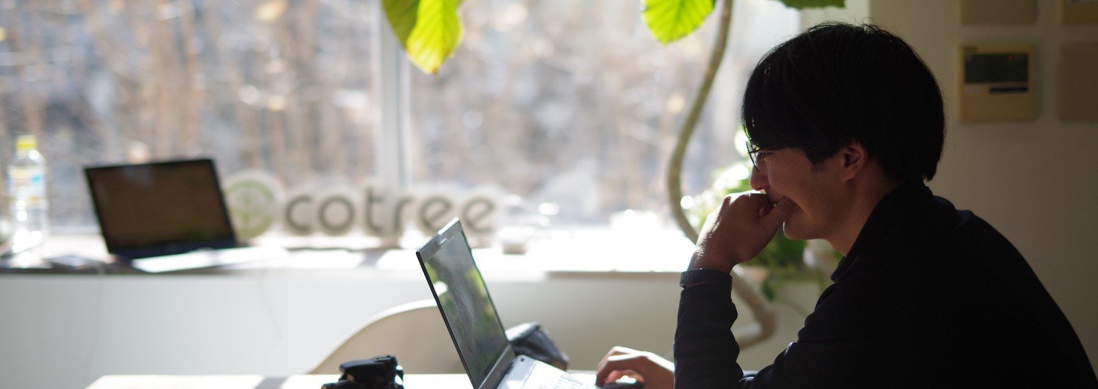 ひらやま | cotree｜note