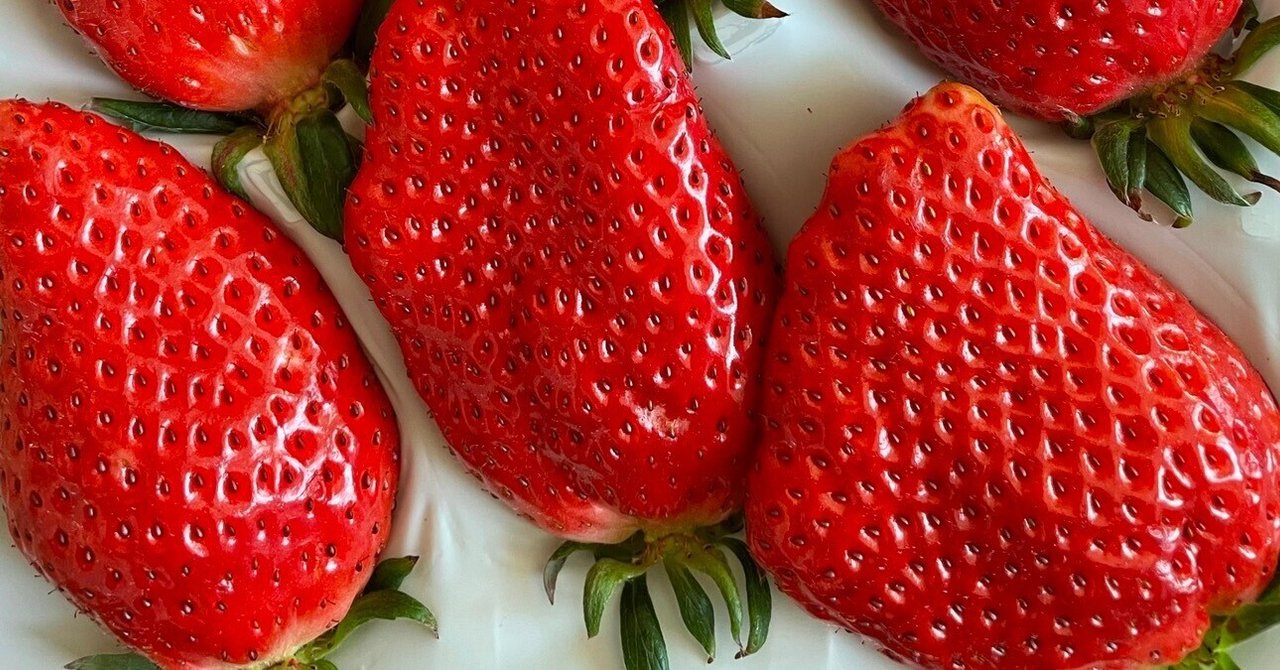 イチゴの法則｜HASE｜note