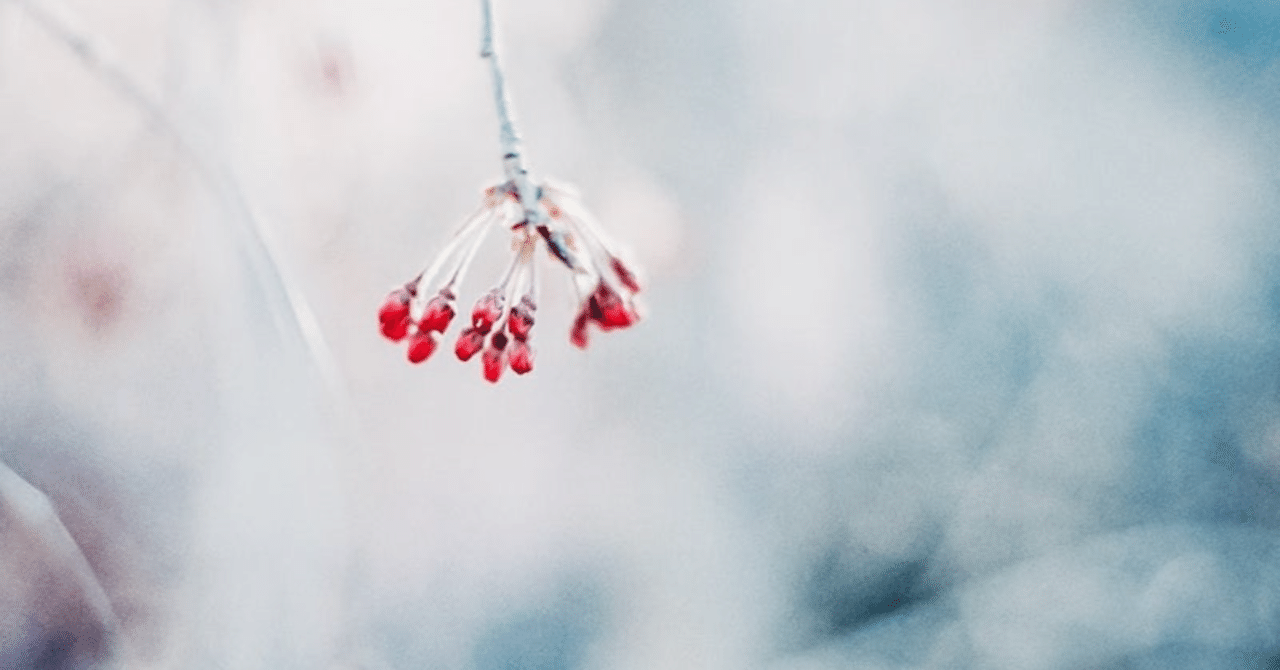 妊婦健診の日(19w6d)｜エリンギ｜note