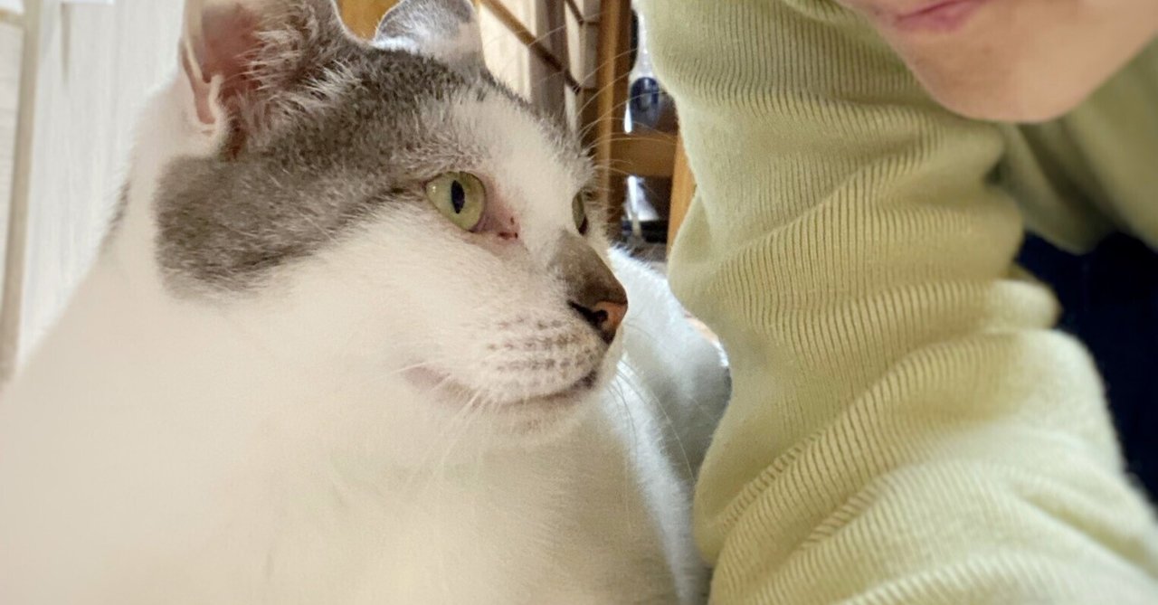 感情と向き合う〜day7〜｜かめいあきこ｜note