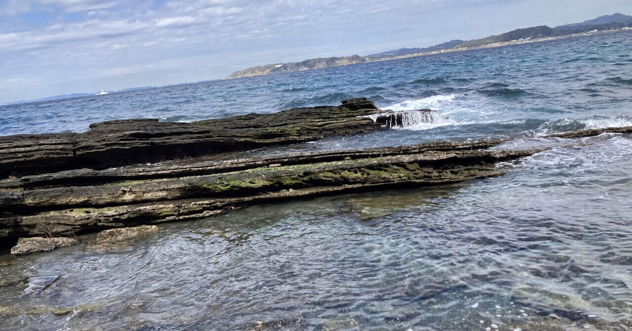 20230228-0305週報｜さんし