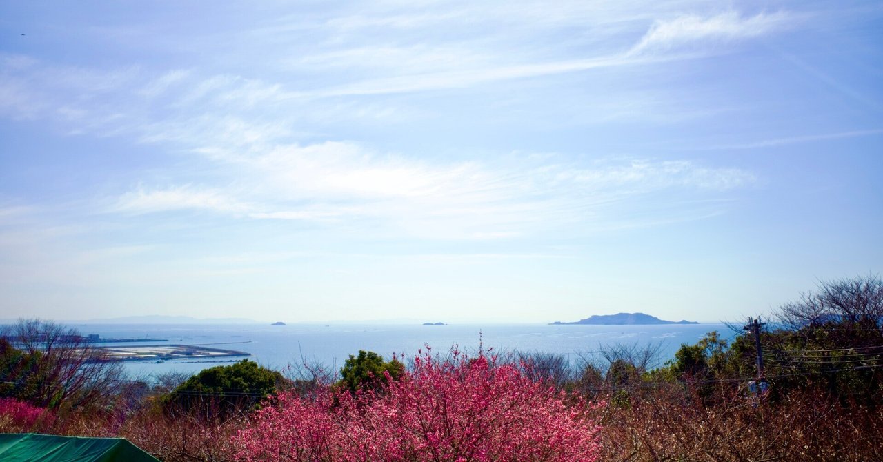 綾部山梅林。2023｜donguri