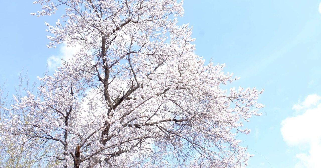 啓蟄｜tabito｜note