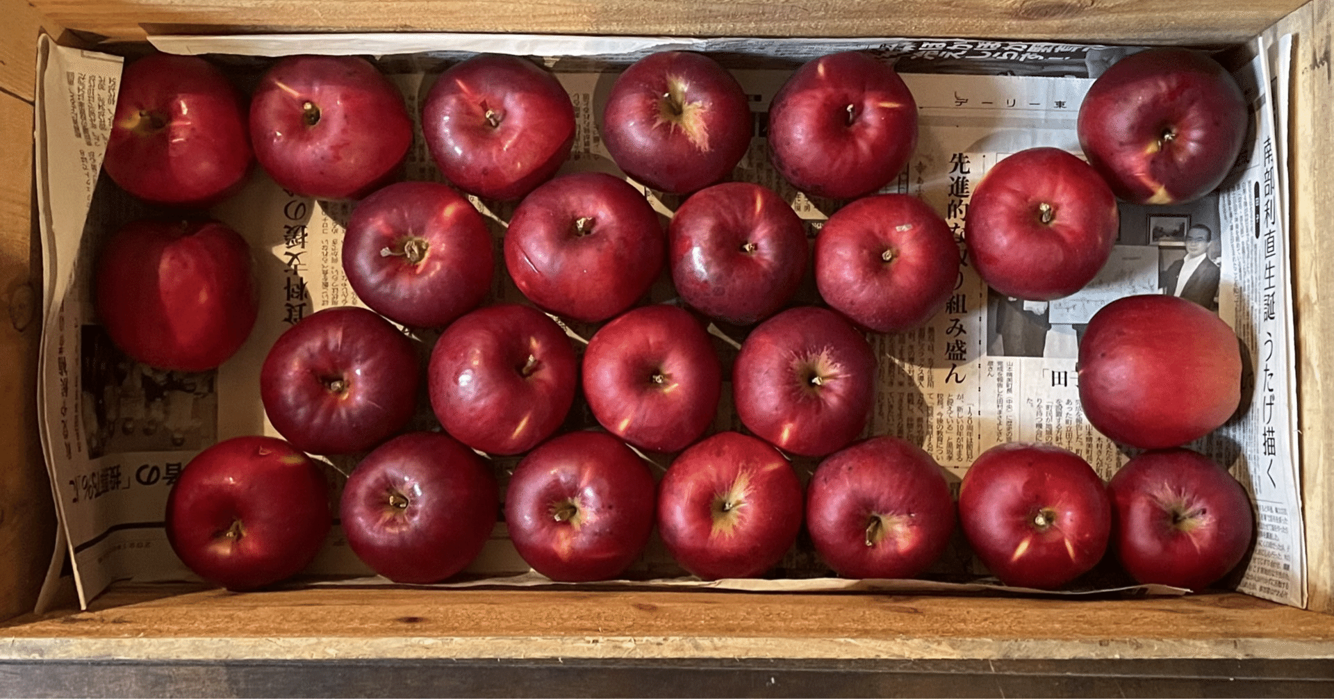 日々の気付き minamiri｜ミナ。｜note