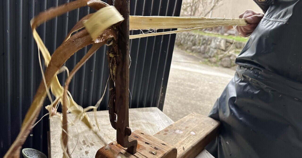 4月限定シーズンプラン開催！｜Tact Masuda