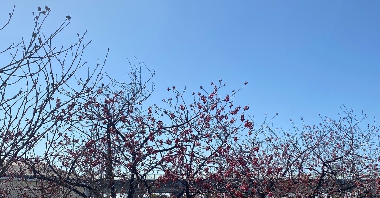 人生における学びとは｜kawasaki kanta｜note