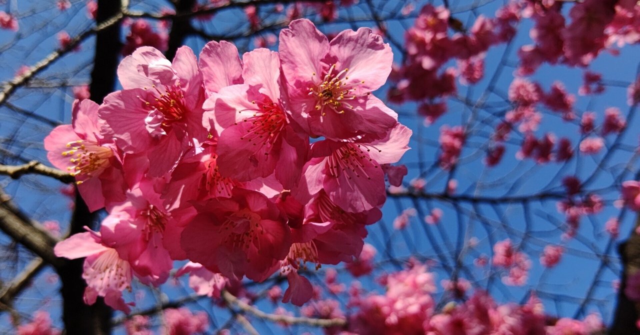 人間誰しも間違える｜susuu