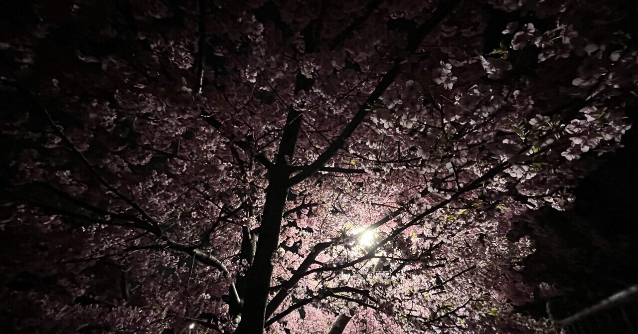 参｜The mammy rows｜note