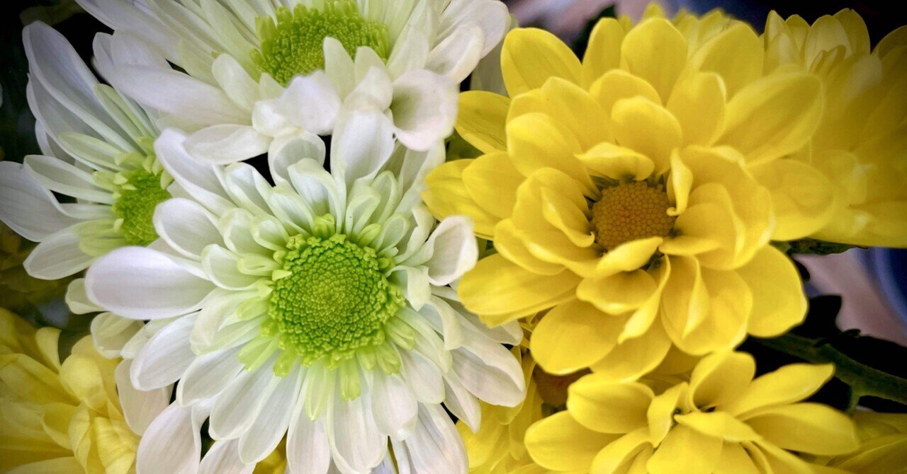 幻想華 《詩》｜seiji_arita｜note