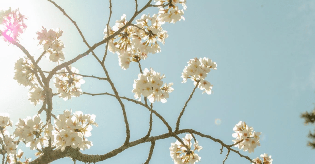 INFP 春のお別れとありがとう｜Anna｜note