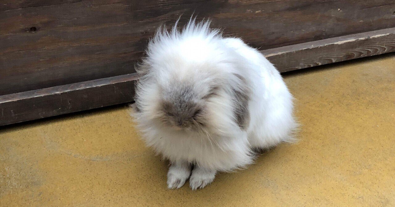 noteはじめました｜rina｜note