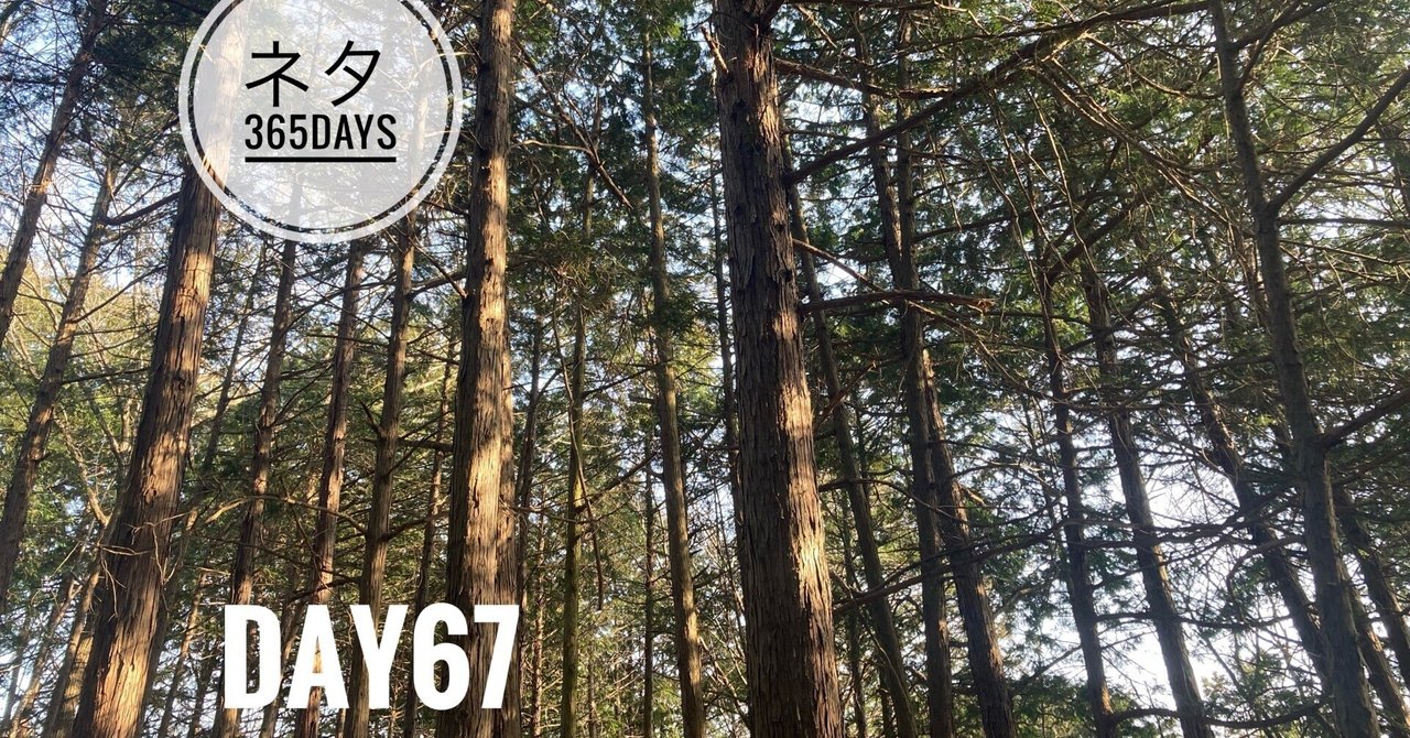 【ネタ365days day67 共振】｜Timmy｜note