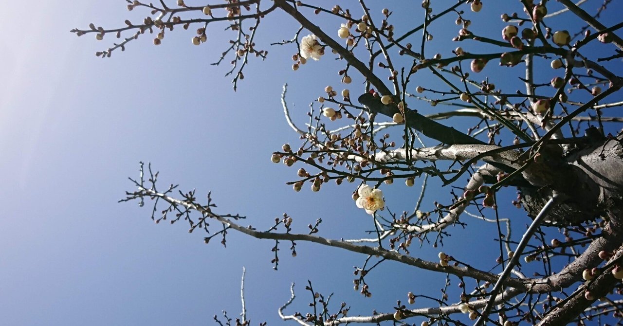 奇跡講座WB実践249 赦しはすべての苦しみと損失を終わらせる｜(Linp&Ruru)本当の自分を知り、本当の自分として生きる｜note