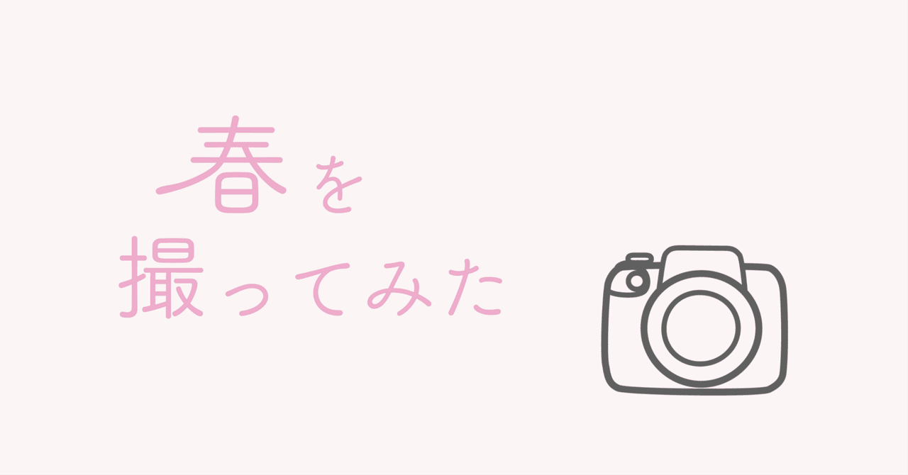 春を撮ってみた｜ak