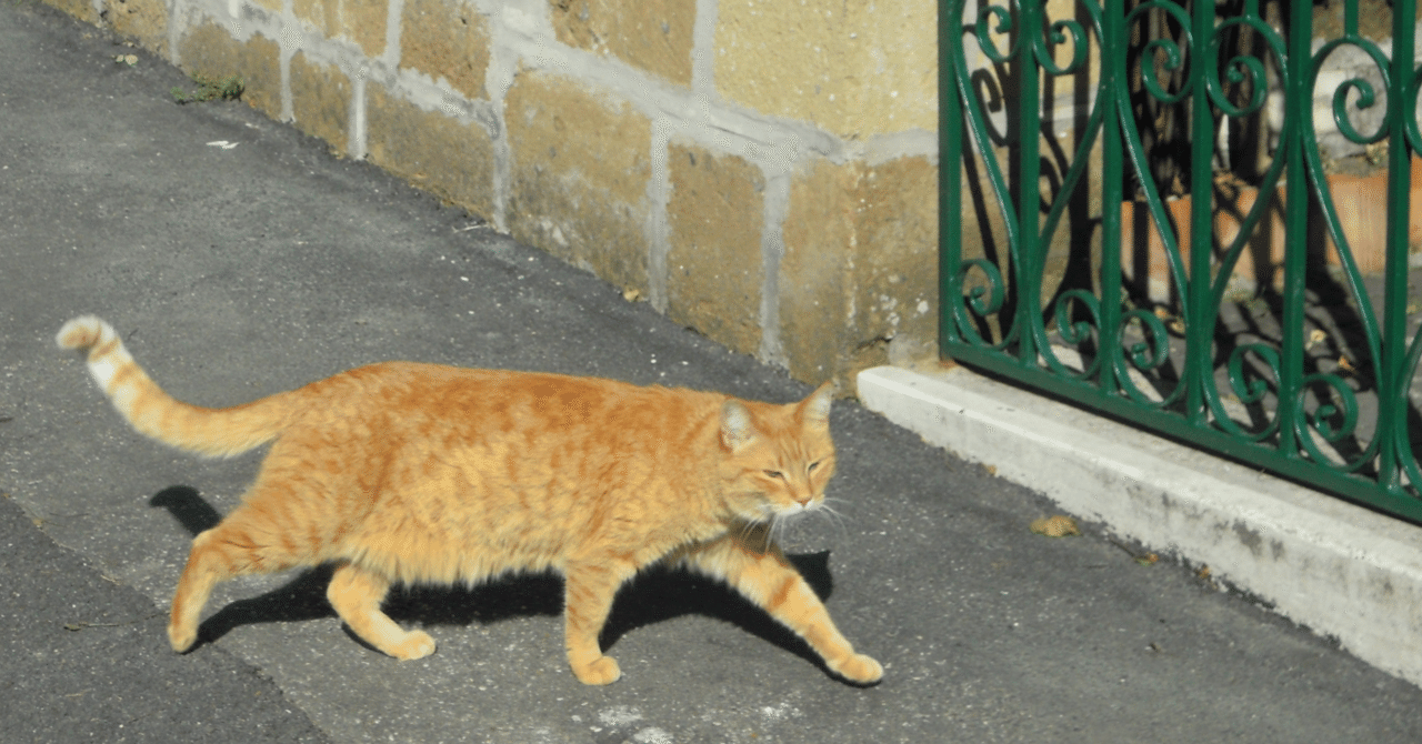 優秀(？)な人の口癖を真似る人。｜hiro｜note