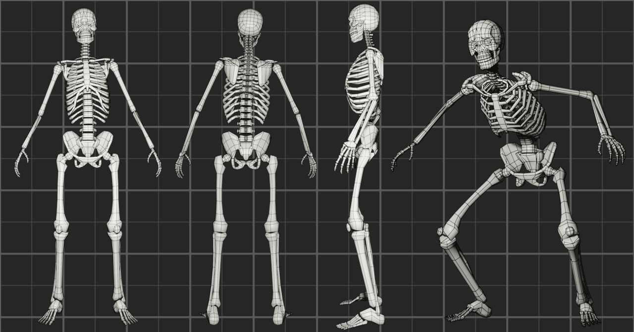 "Skeleton 3D Humanoid rig"Unity Asset information｜SigmoidButtonAssets