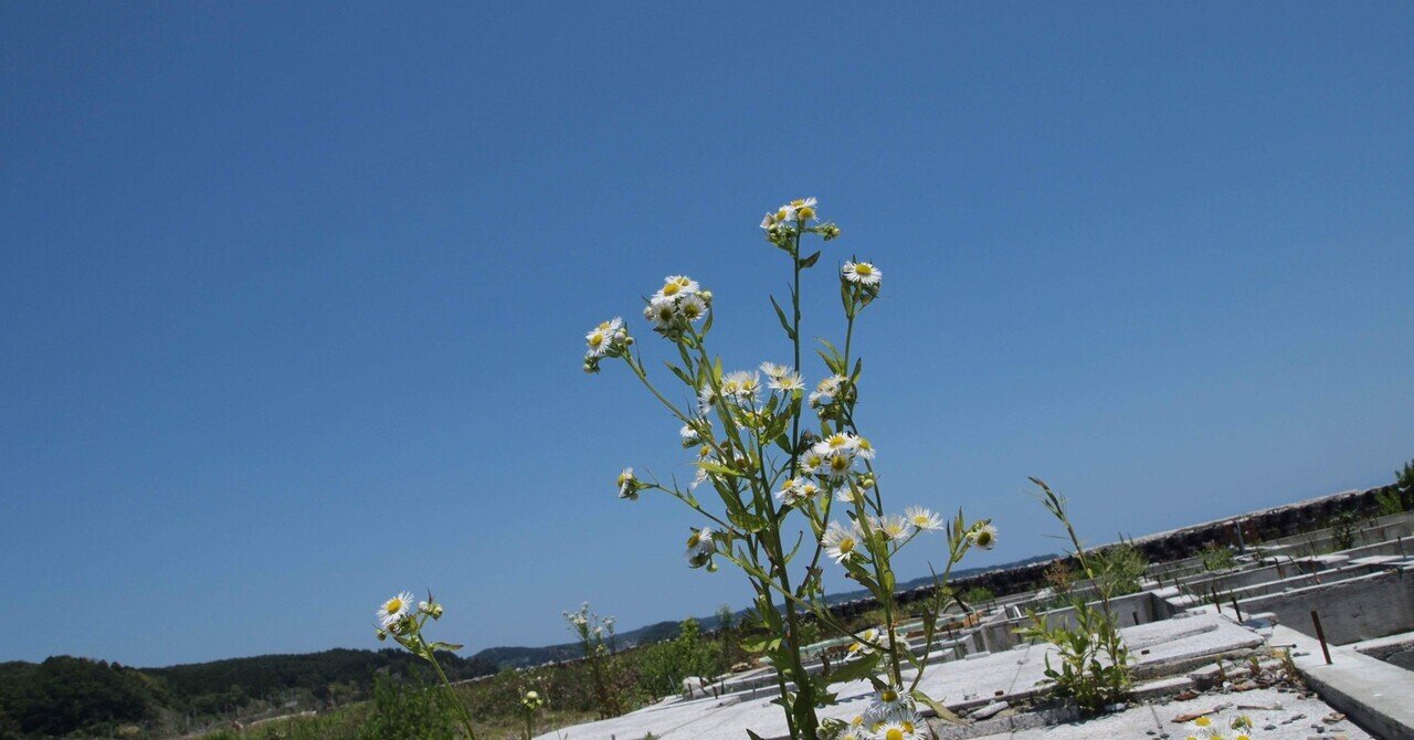 在りし日の果て｜Itsumi_k-ichi｜note