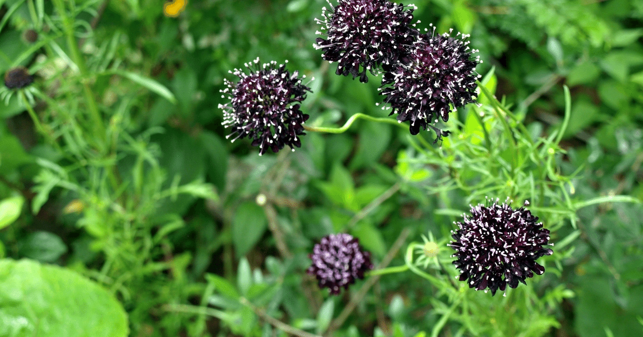 「リモコン取って」ではダメでした？｜sono-saki｜note