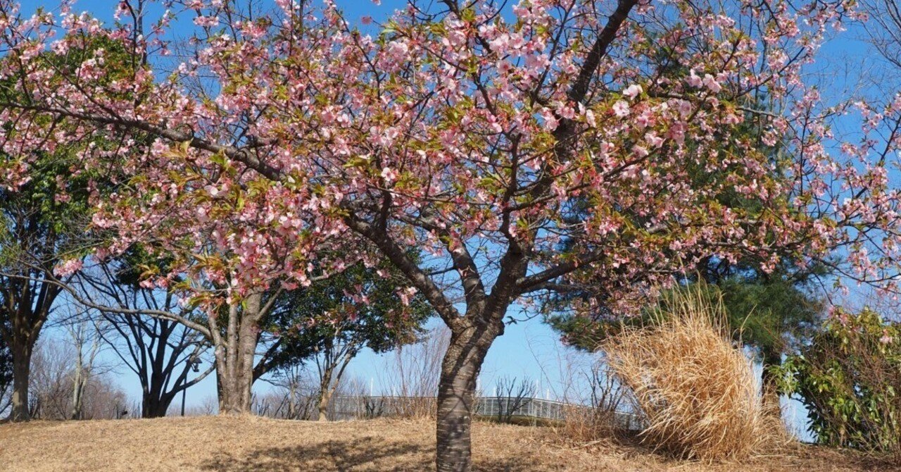 夫婦ウチのありよう その2｜takki