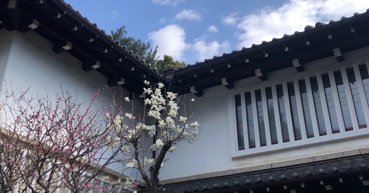 白木蓮と民藝館｜catcatcat