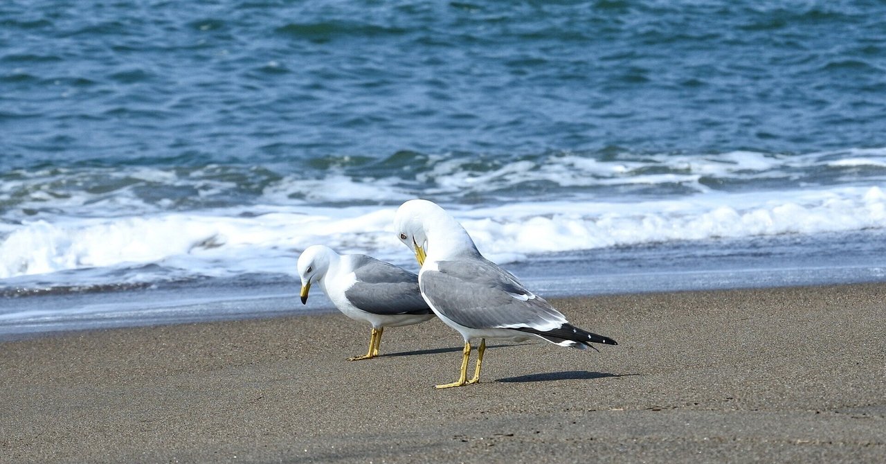 質問ポスト 2編 落ち込んだ時は？｜sion｜note