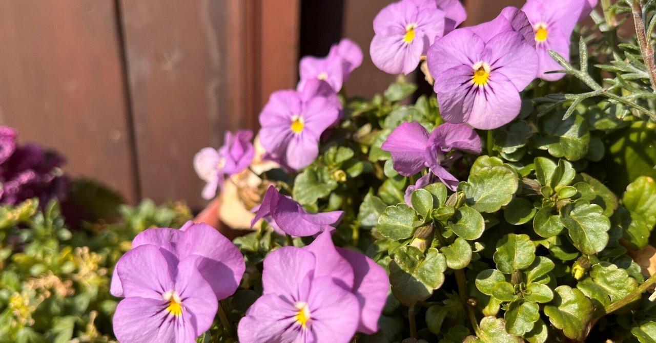 今日の1枚（2023/3/9）｜Chikako｜note