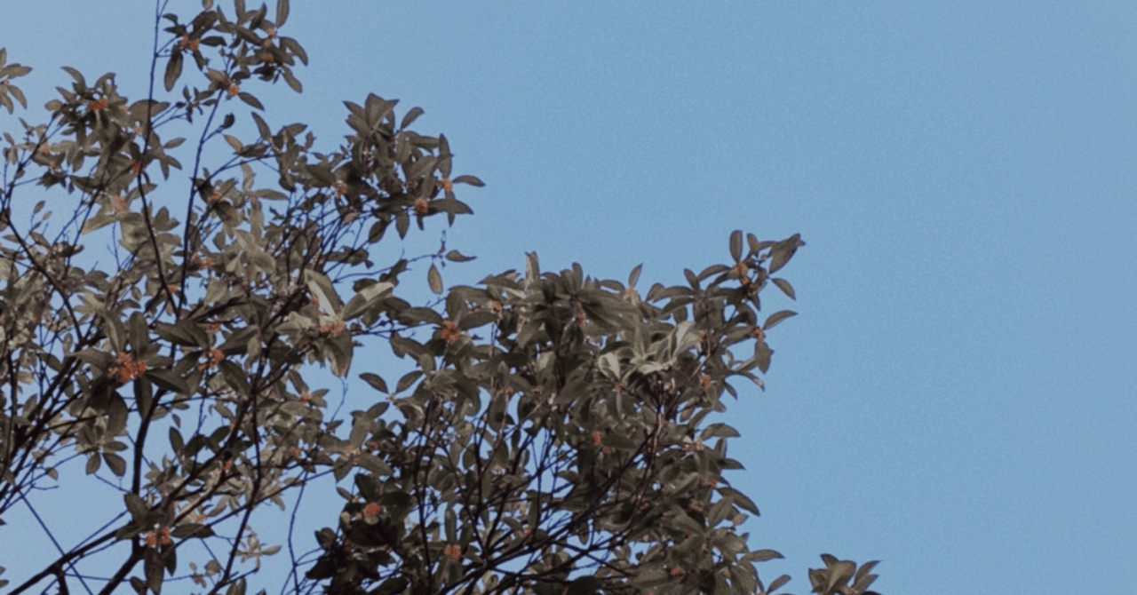 2022.10月の下書き｜shiori｜note