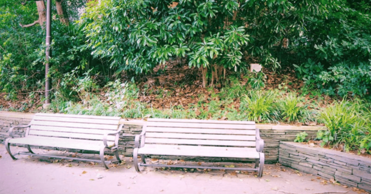 散歩をする｜adjmt