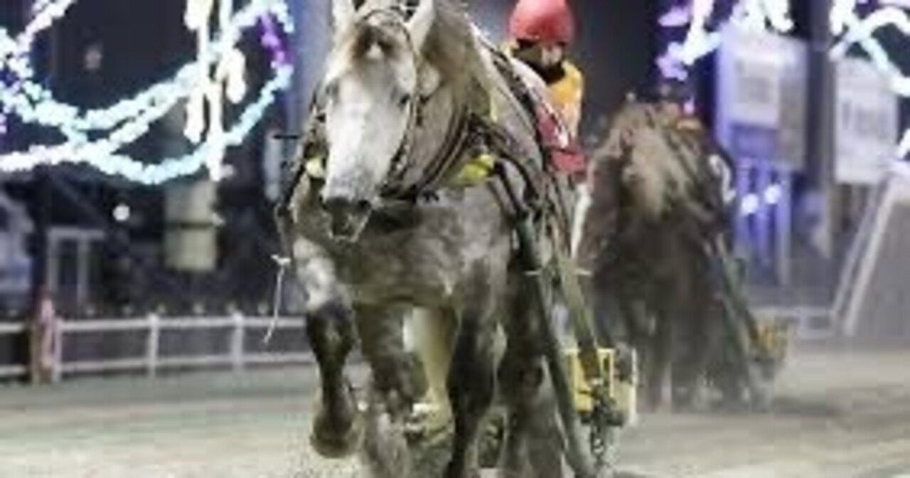 #帯広12R 19:58締切🎯🎯特大チャンス🎯🎯｜kotohira｜note