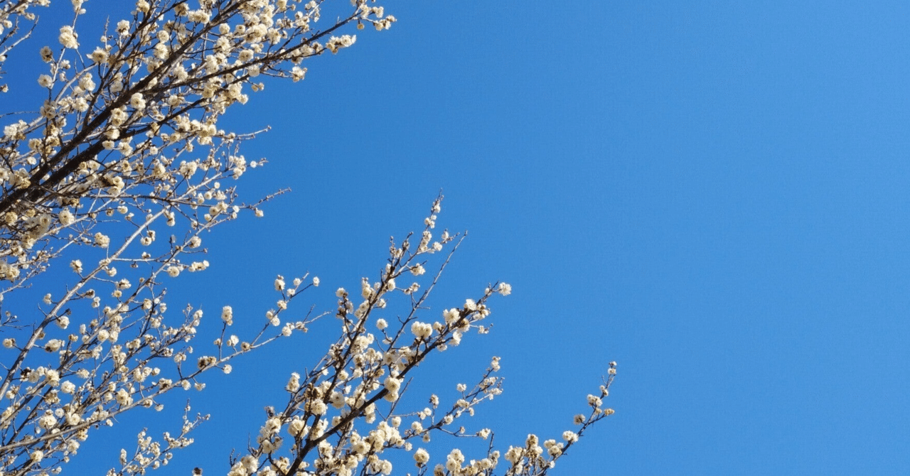 花粉症対策 身近なもの3選と最先端のもの3選｜Masashi｜note